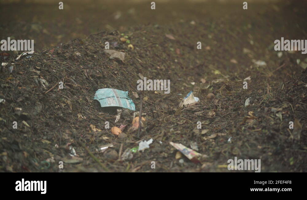 Rotting trash Stock Videos & Footage - HD and 4K Video Clips - Alamy