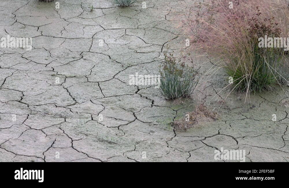 Clumps of mud Stock Videos & Footage - HD and 4K Video Clips - Alamy