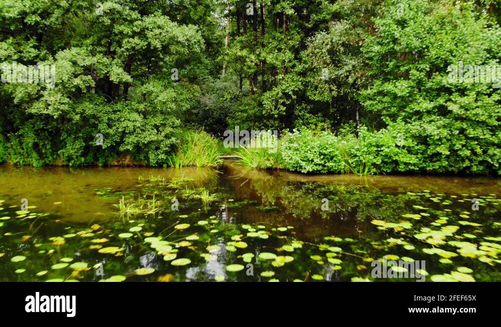 Water side meadows Stock Videos & Footage - HD and 4K Video Clips - Alamy
