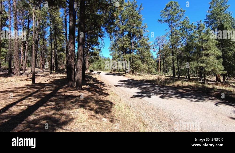 Range line road Stock Videos & Footage - HD and 4K Video Clips - Alamy