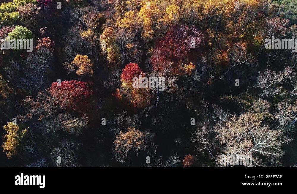 Depressing background Stock Videos & Footage - HD and 4K Video Clips ...