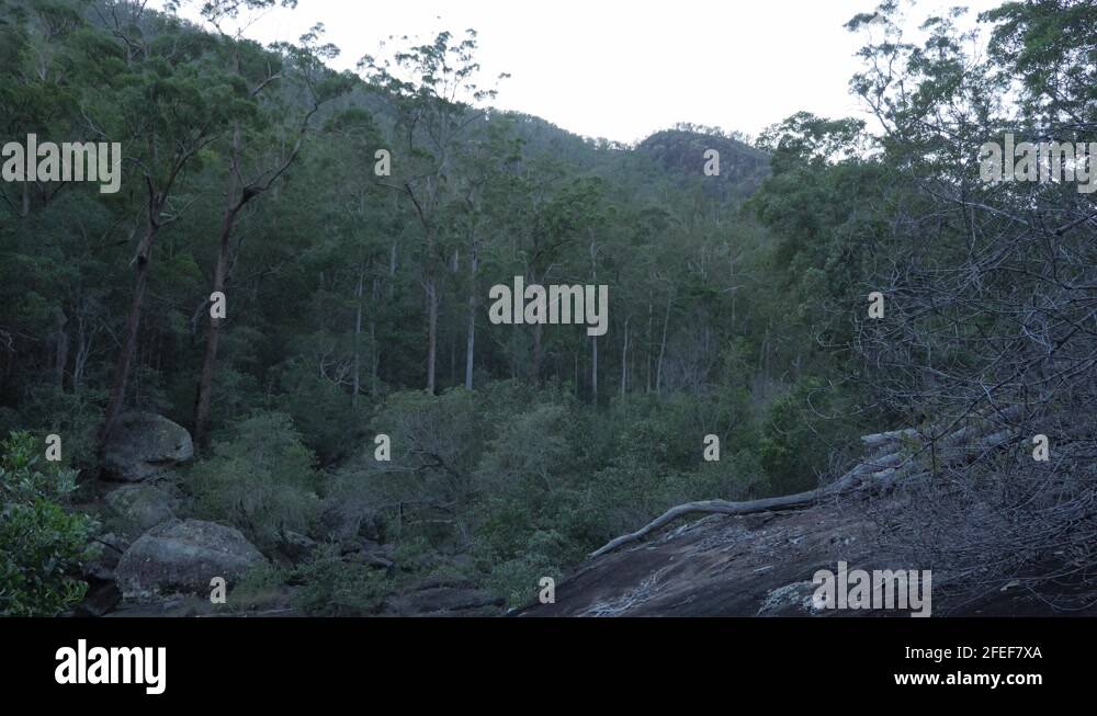 Somerset region Stock Videos & Footage - HD and 4K Video Clips - Alamy