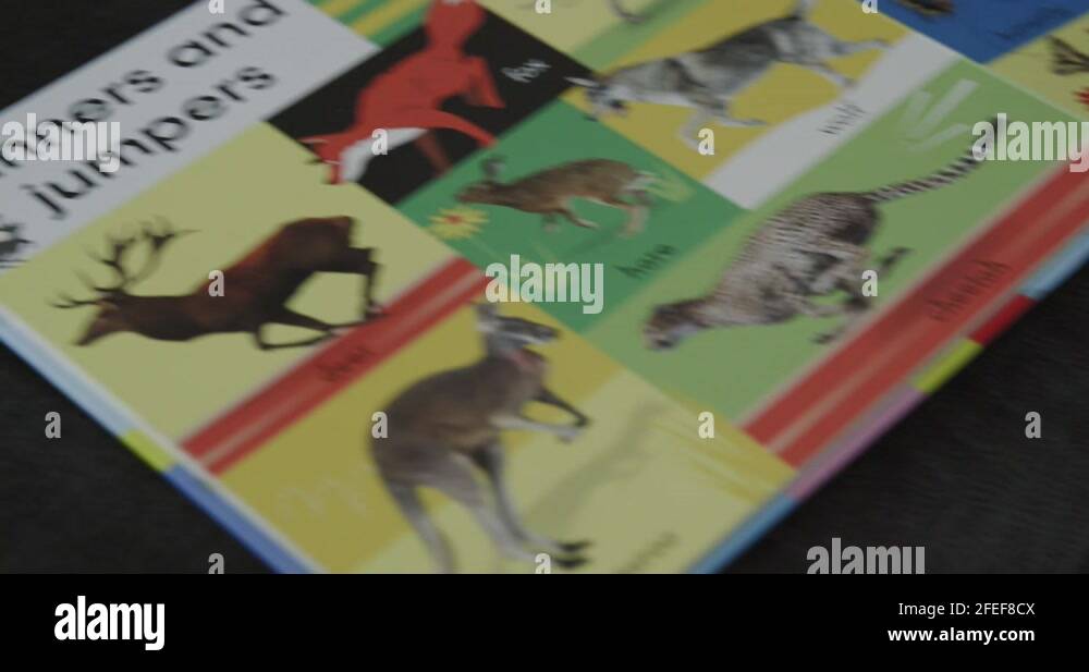 Learning at home animals Stock Videos & Footage - HD and 4K Video Clips ...