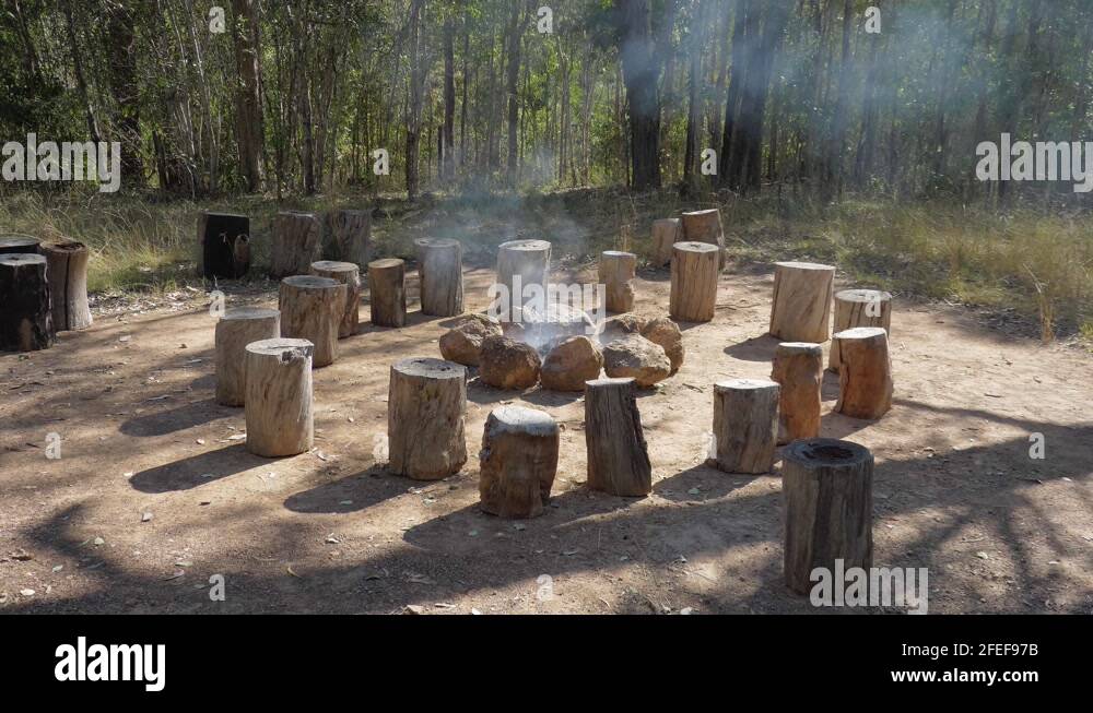 Tree Stumps Around Firepit With Smoke Rising From The Burning Logs ...