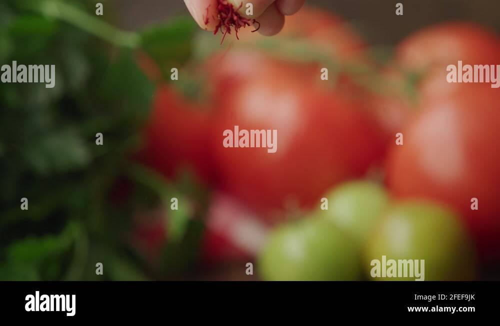 colouring-agent-stock-videos-footage-hd-and-4k-video-clips-alamy
