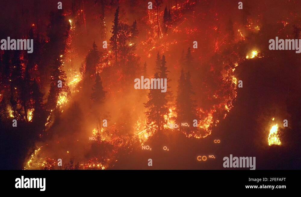 Wildfires causing air pollution, a forest fire burning and no2,co,o3 ...
