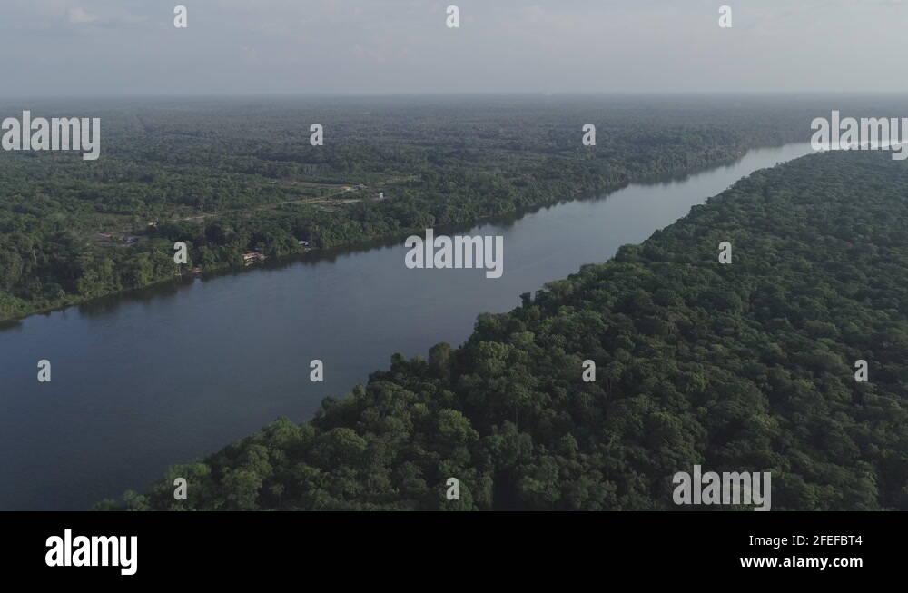 Amazonian river basin Stock Videos & Footage - HD and 4K Video Clips ...