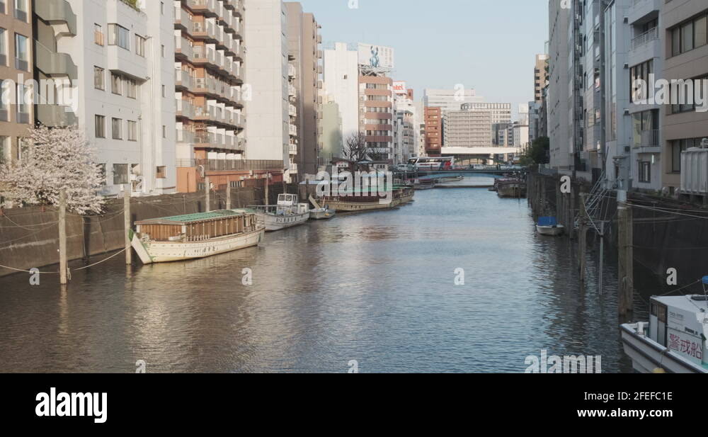 Traditional japanese landscape Stock Videos & Footage - HD and 4K Video ...