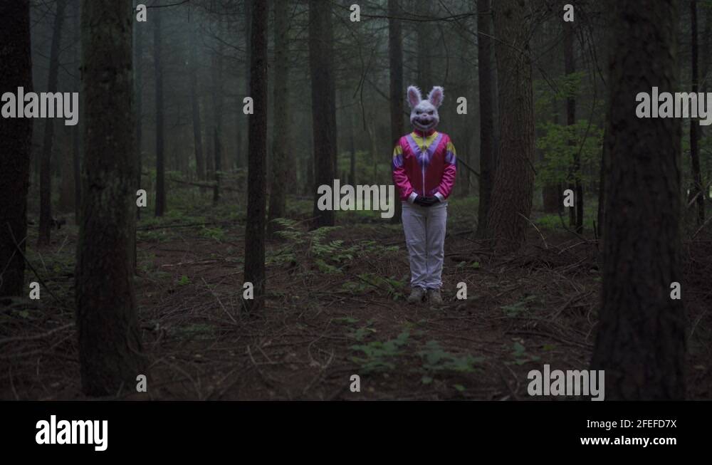 Man rabbit mask Stock Videos & Footage - HD and 4K Video Clips - Alamy