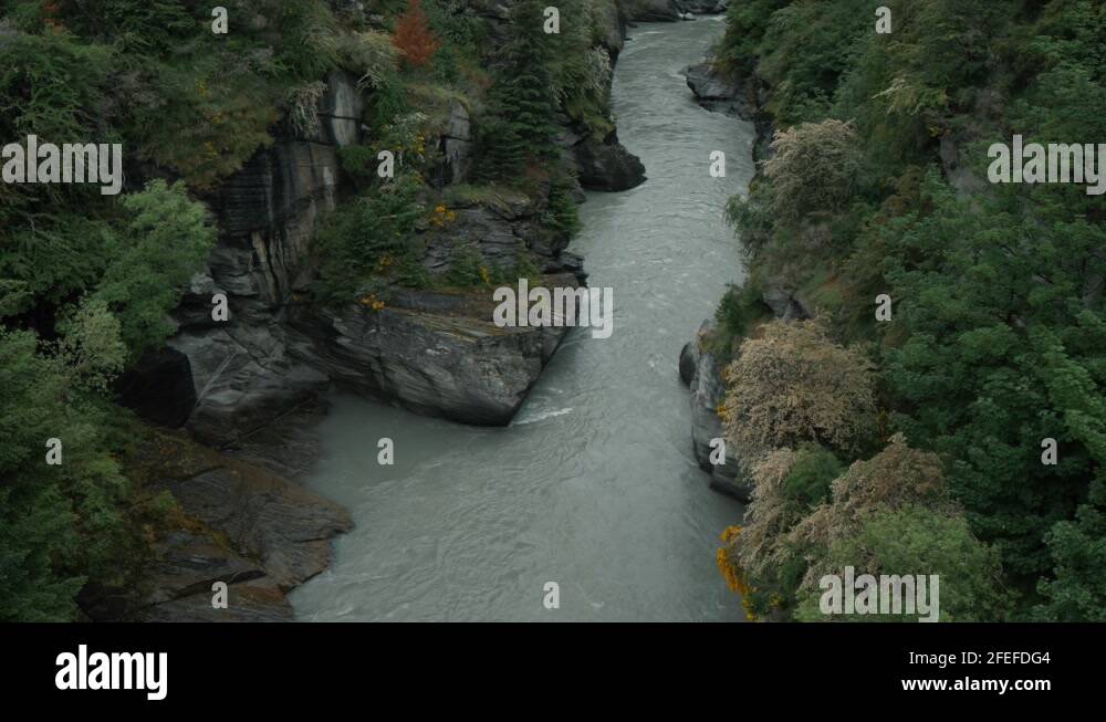 Cinematic forest Stock Videos & Footage - HD and 4K Video Clips - Alamy