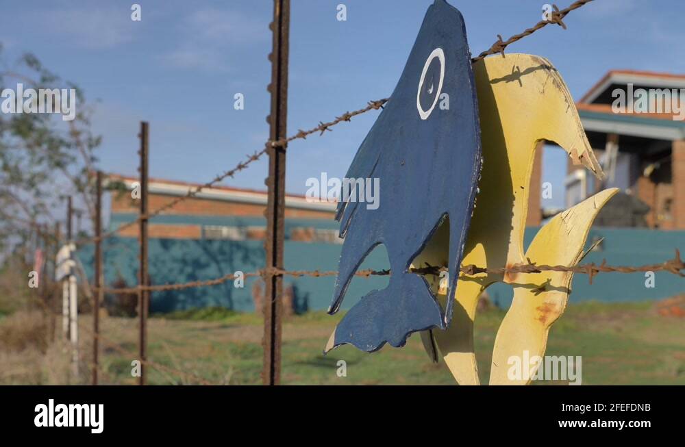 Barbed fish Stock Videos & Footage - HD and 4K Video Clips - Alamy