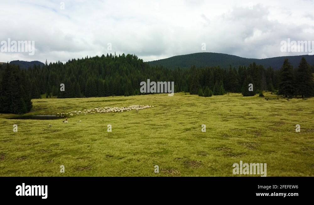 Traditional ewe people village Stock Videos & Footage - HD and 4K Video ...