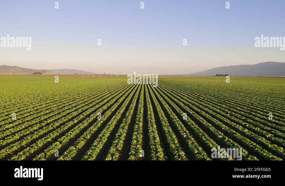 Lifting crops Stock Videos & Footage - HD and 4K Video Clips - Alamy