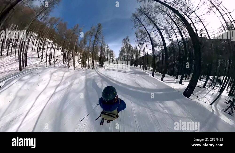 Woodland slope Stock Videos & Footage - HD and 4K Video Clips - Alamy