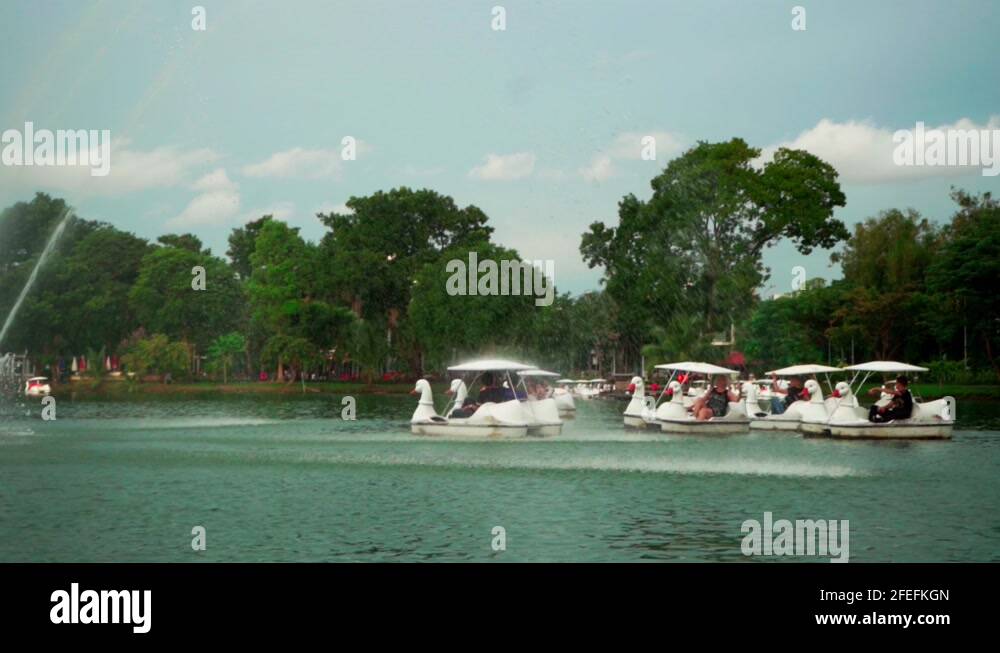 Sailing swan Stock Videos & Footage - HD and 4K Video Clips - Alamy