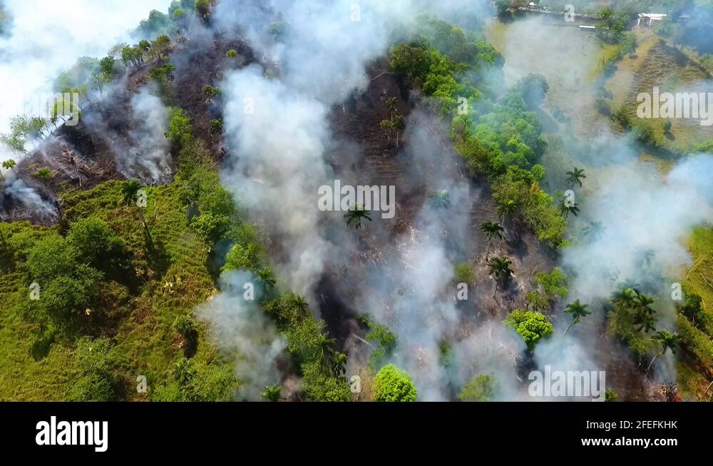 Rainforest deforestation fire Stock Videos & Footage - HD and 4K Video ...