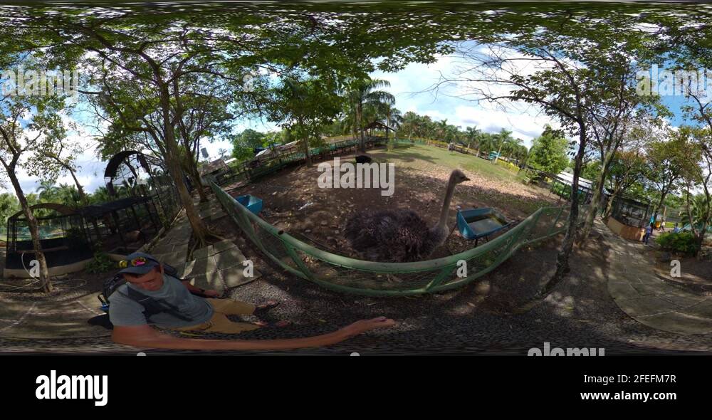 Davao Crocodile Park, Philippines. Virtual tour 360 Stock Video Footage ...