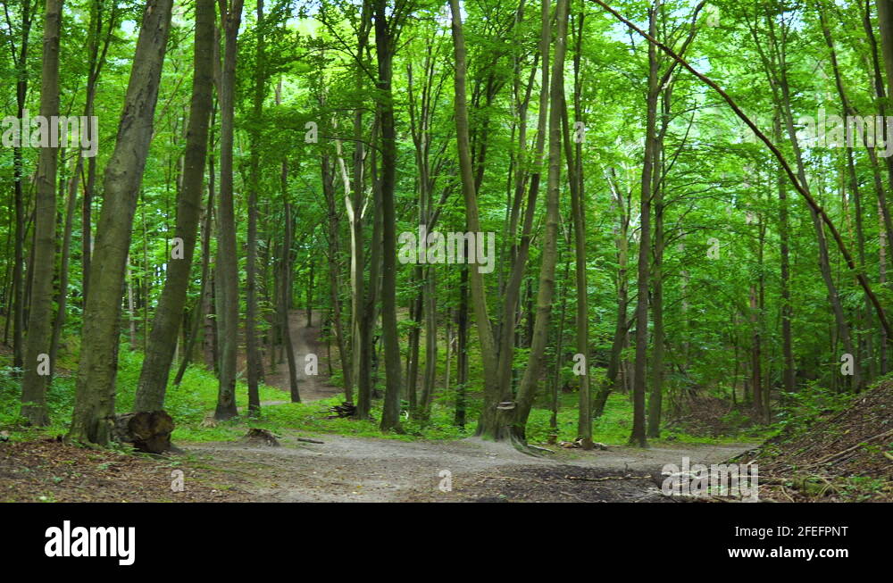 Clear path pathway Stock Videos & Footage - HD and 4K Video Clips - Alamy