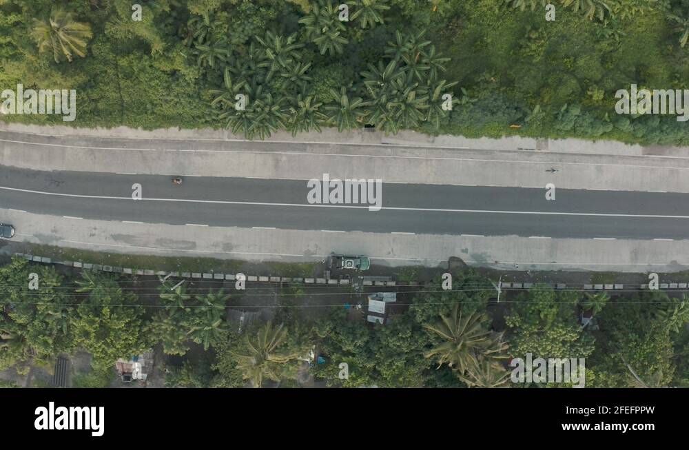 Top View Of An Asphalt Road With Palm Trees In The Philippines - Aerial ...