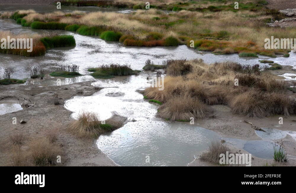 Pools of bubbling hot spring water interspersed among areas of prairie ...
