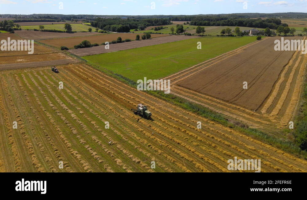 Agricultural food crop Stock Videos & Footage - HD and 4K Video Clips ...