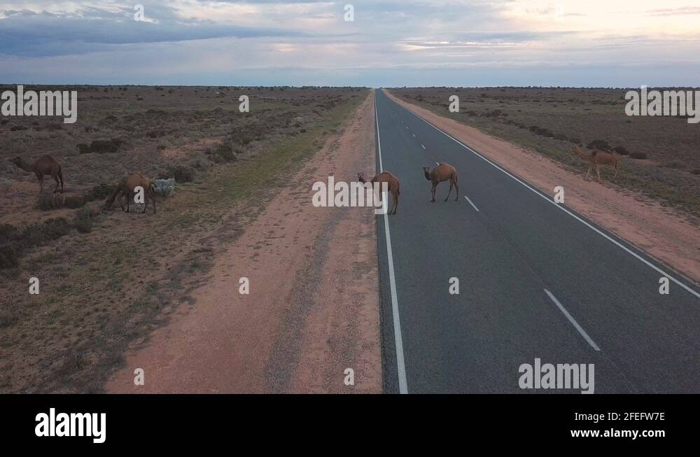Outback australia desert border Stock Videos & Footage - HD and 4K ...