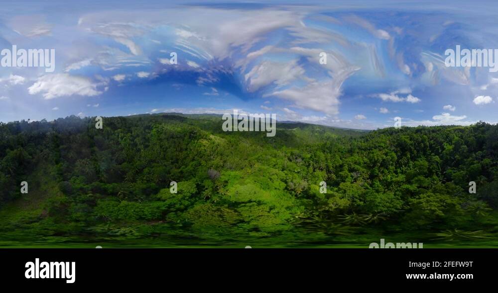 Rainforest in the Philippines. 360-Degree view Stock Video Footage - Alamy
