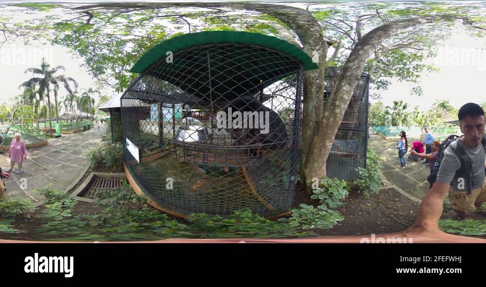 Davao Crocodile Park, Philippines. Virtual tour 360 Stock Video Footage ...