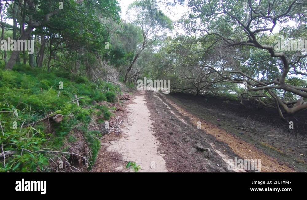 Beaten pathway Stock Videos & Footage - HD and 4K Video Clips - Alamy