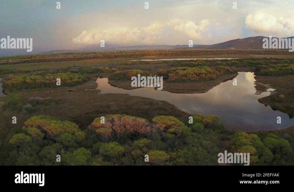 Iconic italian tree Stock Videos & Footage - HD and 4K Video Clips - Alamy