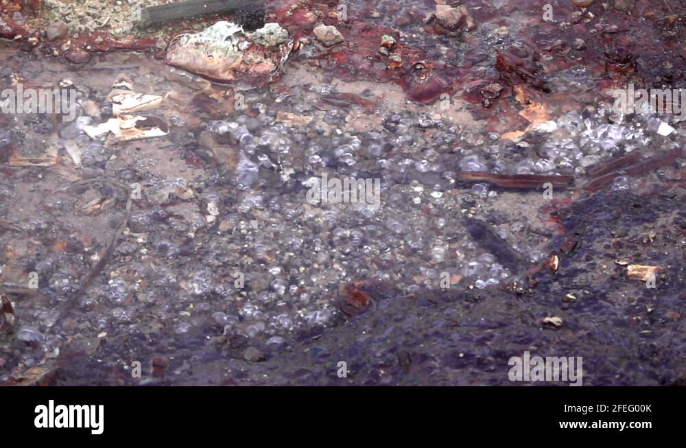 Geothermal rocks Stock Videos & Footage - HD and 4K Video Clips - Alamy