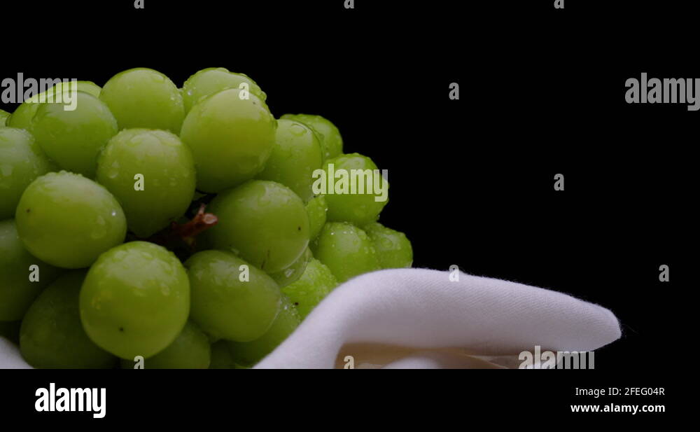 Muscat grapes Stock Videos & Footage - HD and 4K Video Clips - Alamy