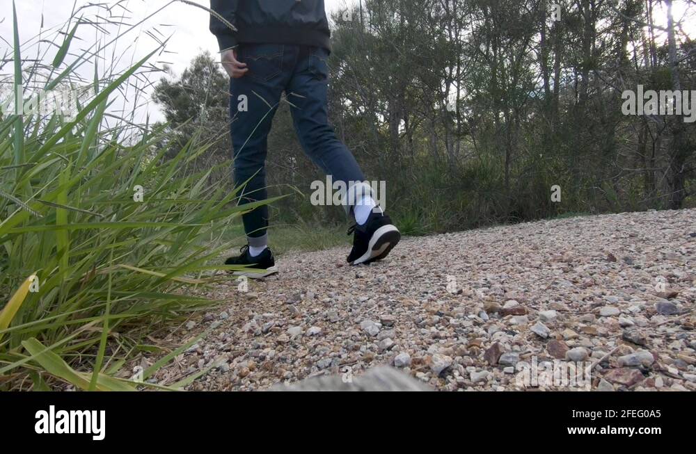 Path of stones Stock Videos & Footage - HD and 4K Video Clips - Alamy