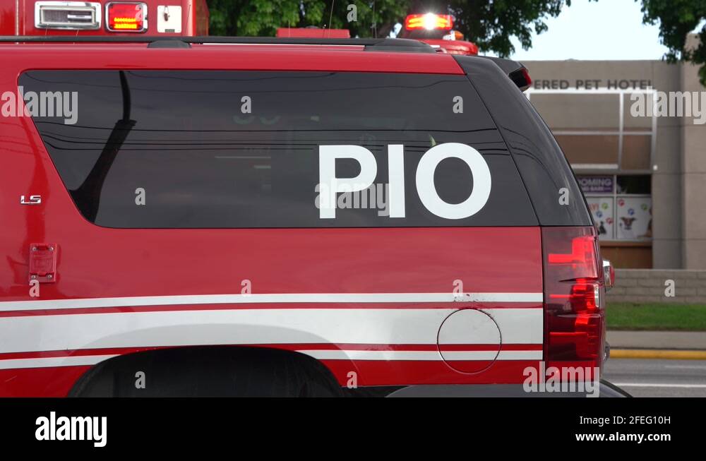 Information officer Stock Videos & Footage - HD and 4K Video Clips - Alamy