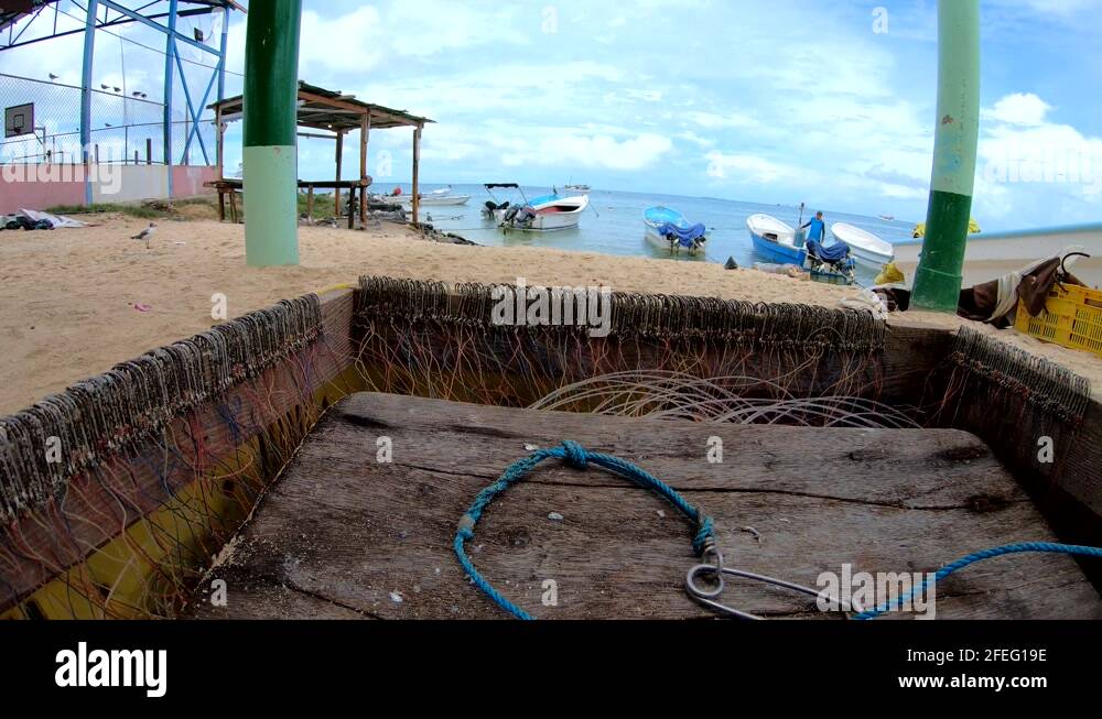 Nylon basket Stock Videos & Footage - HD and 4K Video Clips - Alamy