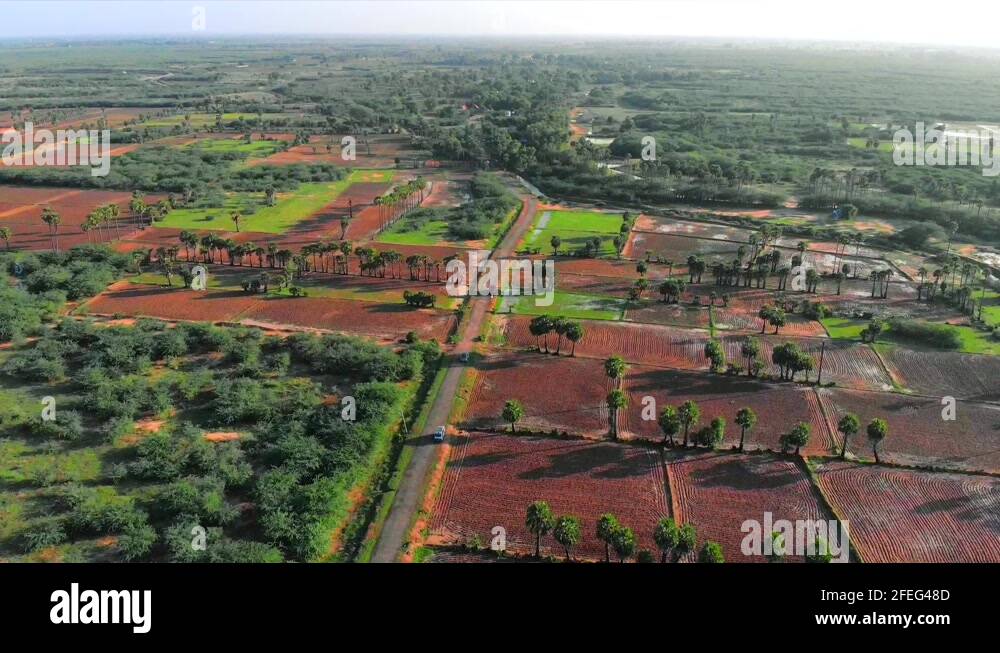 South india countryside Stock Videos & Footage - HD and 4K Video Clips ...