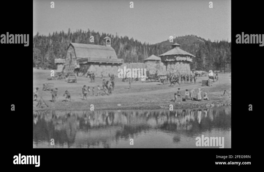 Steeple tree trees Stock Videos & Footage - HD and 4K Video Clips - Alamy