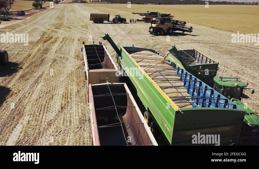 Combine unloading harvested corn Stock Videos & Footage - HD and 4K ...