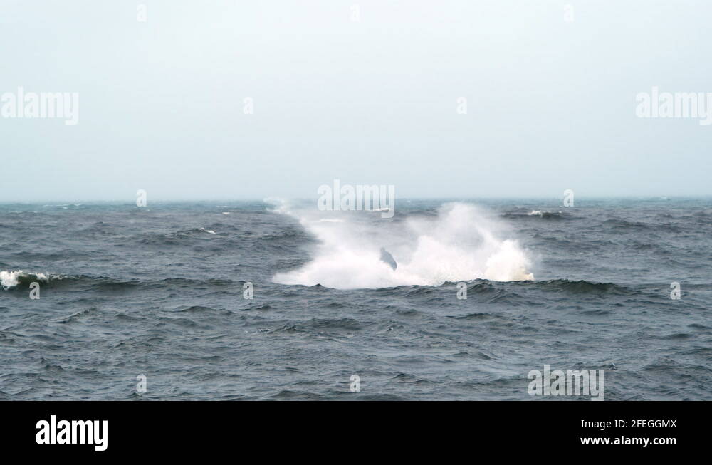 To jump on waves Stock Videos & Footage - HD and 4K Video Clips - Alamy