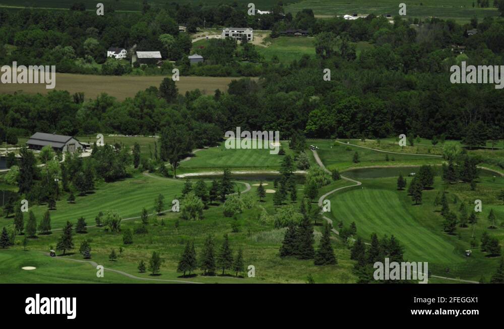 Rural birds Stock Videos & Footage - HD and 4K Video Clips - Alamy