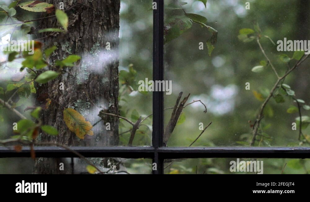 Clear wooden window frame Stock Videos & Footage - HD and 4K Video ...