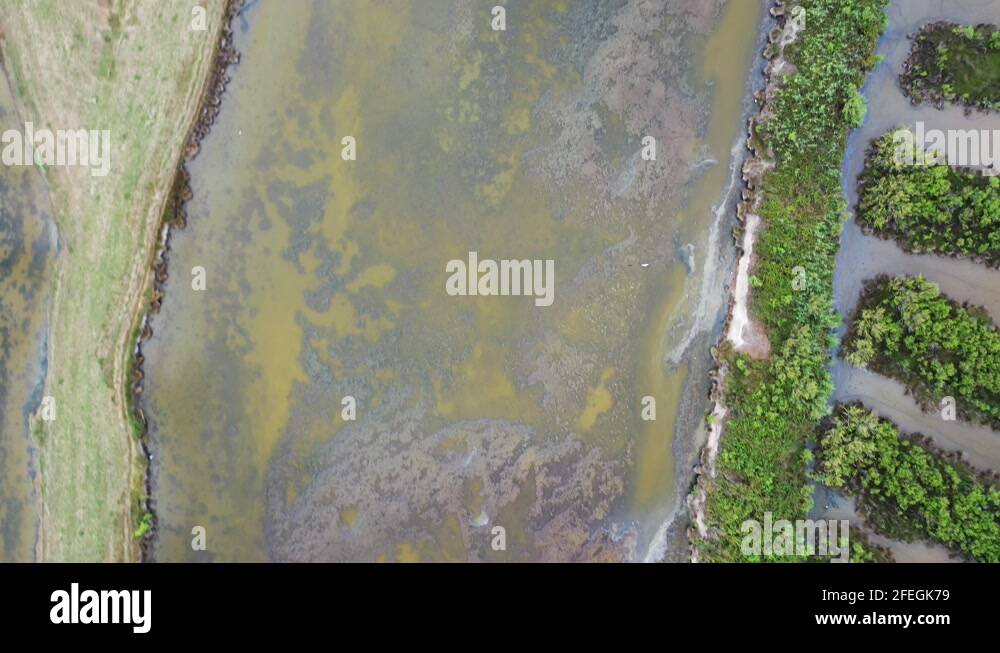 Flooded marshes Stock Videos & Footage - HD and 4K Video Clips - Alamy