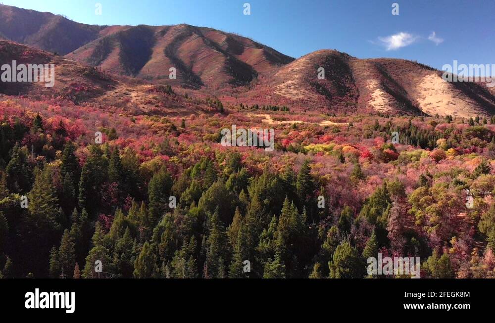 Nebo loop Stock Videos & Footage - HD and 4K Video Clips - Alamy