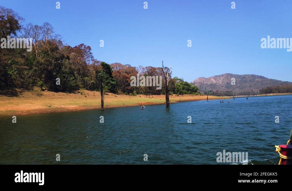 Slow Moving Boat In The Wild Forest River In Kerala, India 4K Stock ...