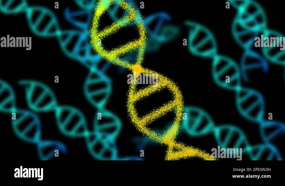 2D animation of DNA on a black background. 60FPS Stock Video Footage ...