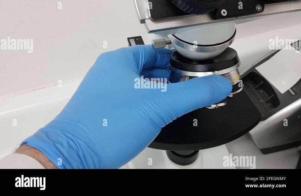 Compound light microscope Stock Videos & Footage - HD and 4K Video ...