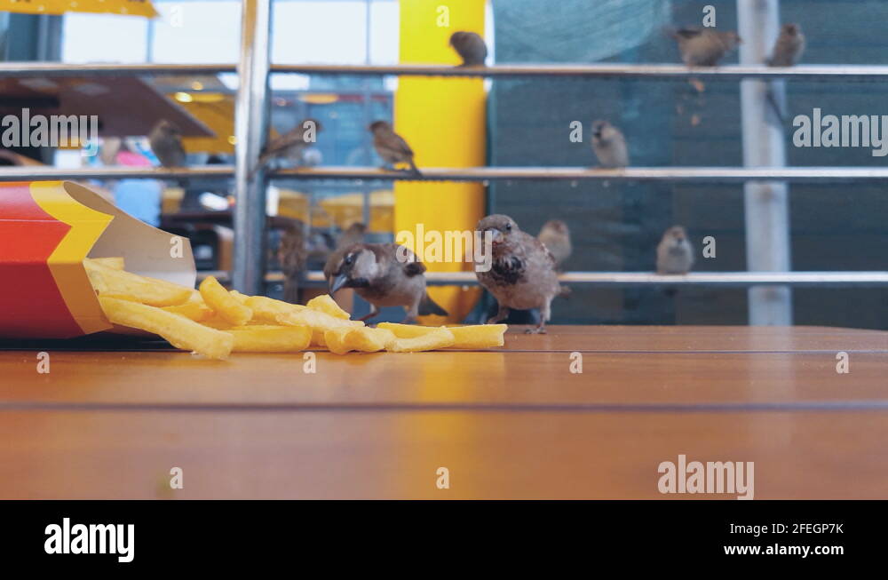 Grab table Stock Videos & Footage - HD and 4K Video Clips - Alamy