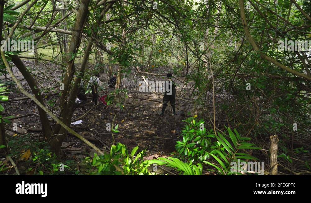 Labrador park singapore Stock Videos & Footage - HD and 4K Video Clips ...