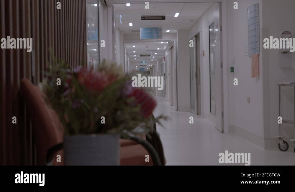 Hospital ward corridor Stock Videos & Footage - HD and 4K Video Clips ...