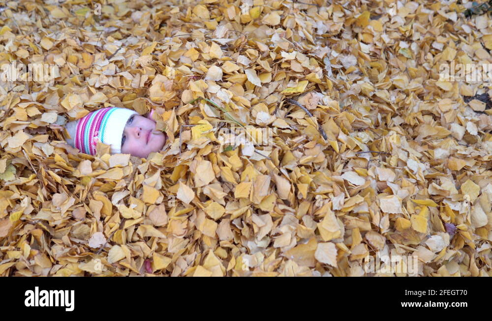 Pile of fallen leaves Stock Videos & Footage - HD and 4K Video Clips ...